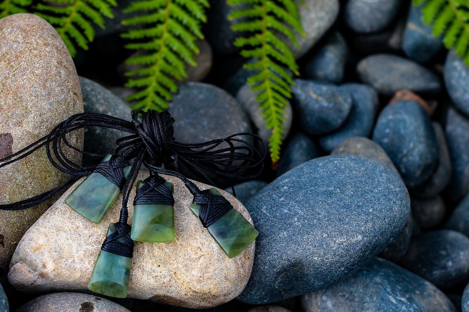 Our Taiao | Treasures of New Zealand by local artists